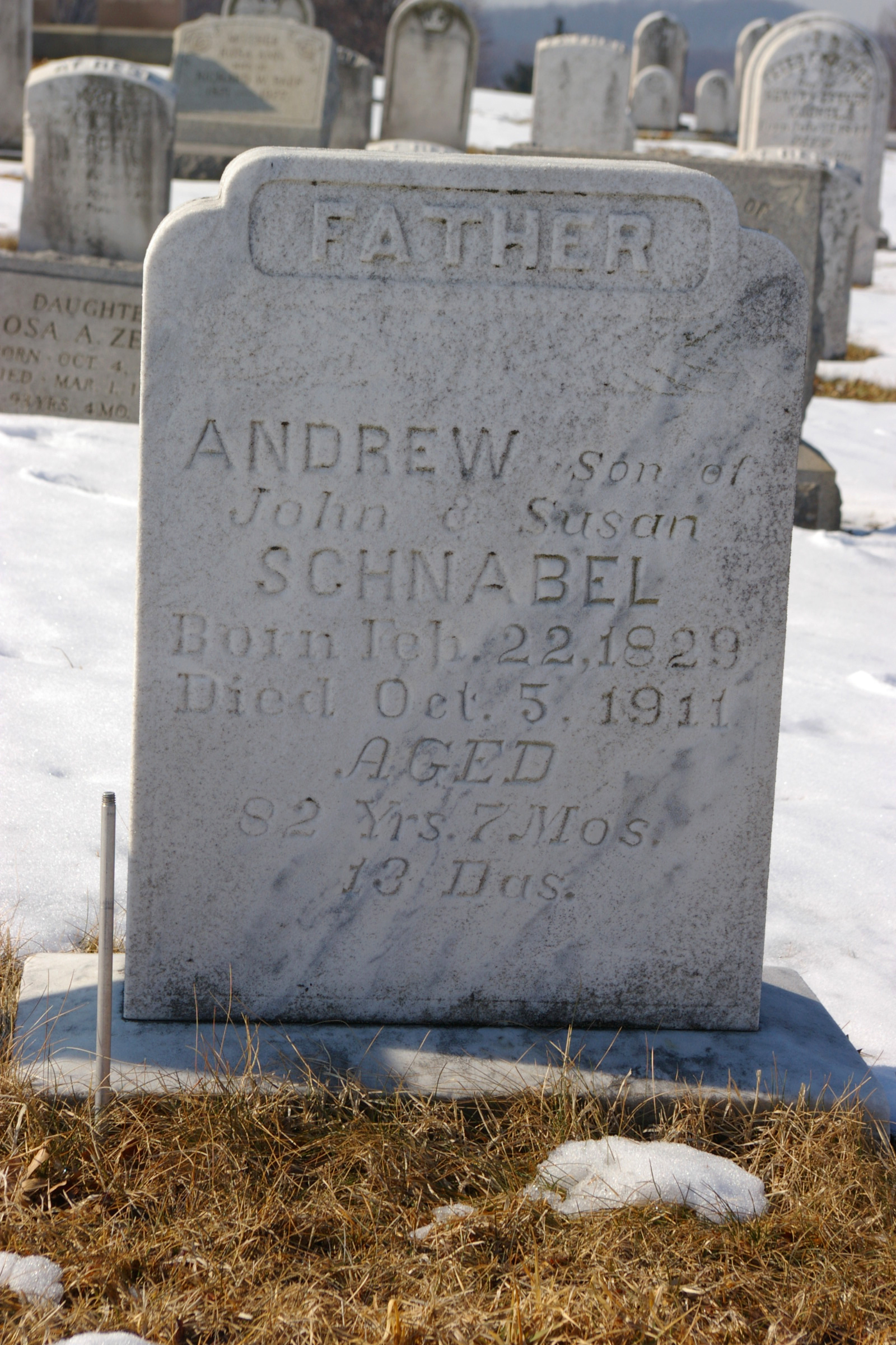 Burials at Yocom's Cemetery, Grill, PA