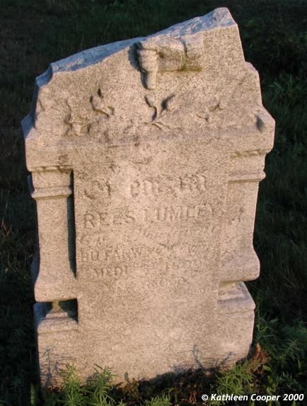 VICTIMS OF THE AVONDALE MINE DISASTER BURIED AT WASHBURN STREET CEMETERY